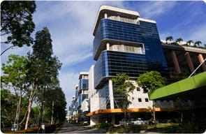 New Owner Of MClean Appoints New Board And CEO