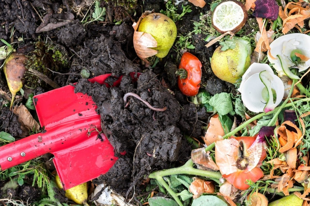 Lets Recycle Our Food Waste With Worms