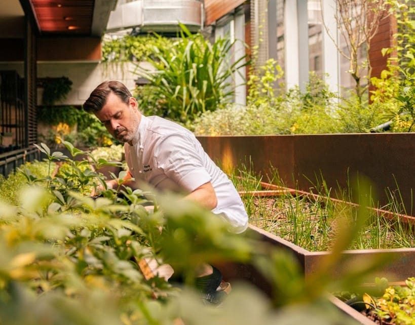 Tackling Food Waste In Hospitality With AI