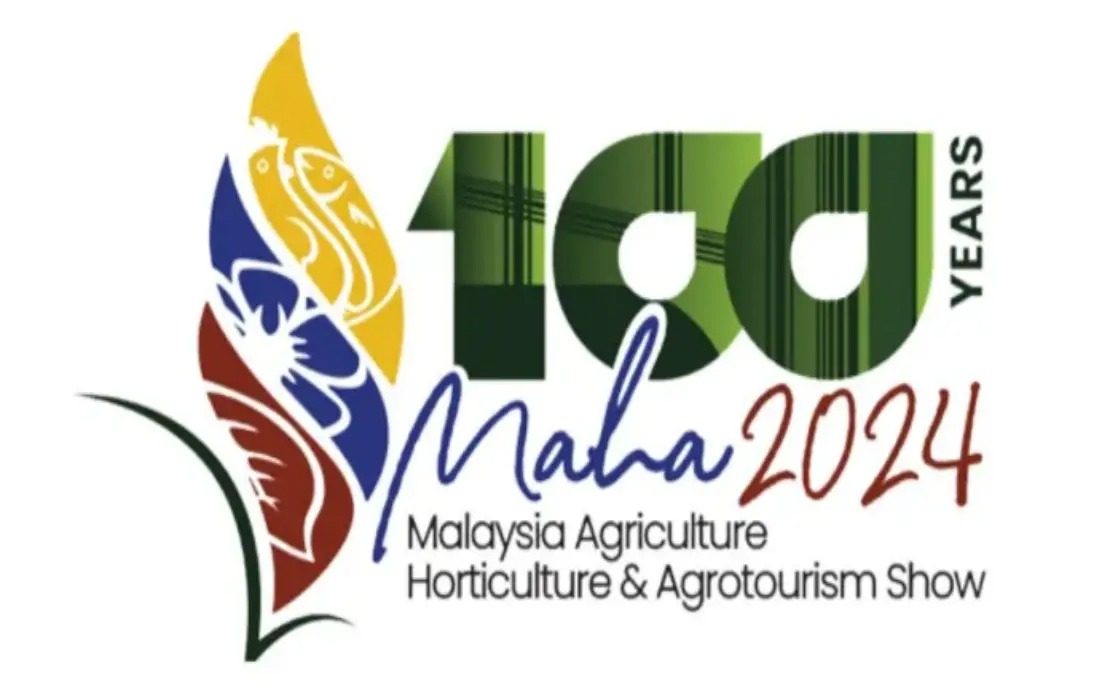 MAHA 2024 Draws Massive Crowds, Eyes 3 Million Mark - BusinessToday