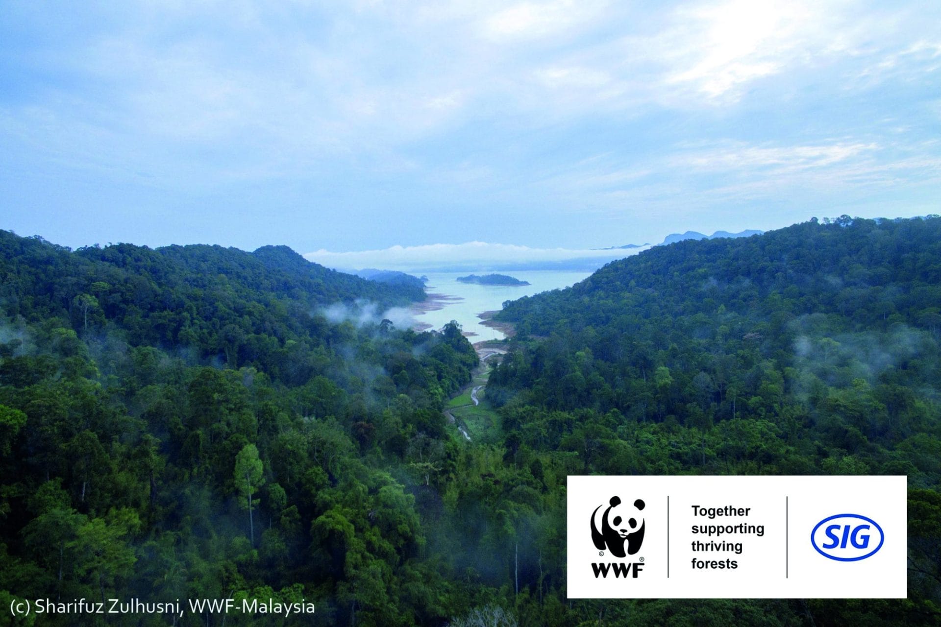 Saving Malaysia's Ulu Muda Forest - BusinessToday