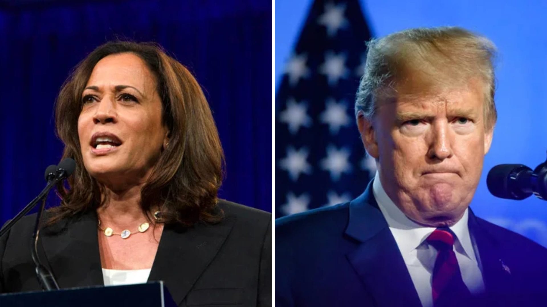 Harris And Trump Ready For Pivotal Debate Battle - BusinessToday