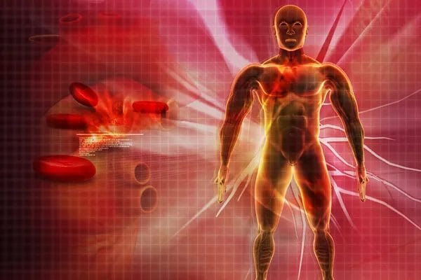 Breaking Down Common Medical Terms: A Guide To Health Literacy ...