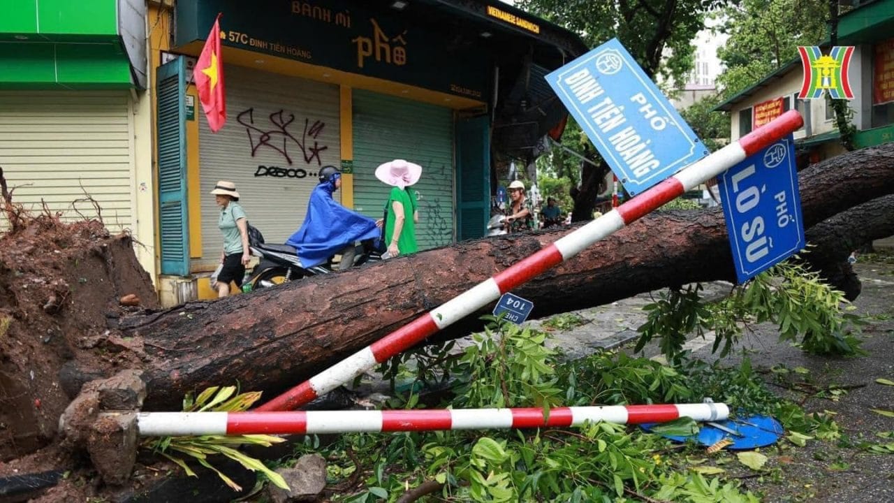 Yagi Devastates Vietnam, Leaving Dozens Dead