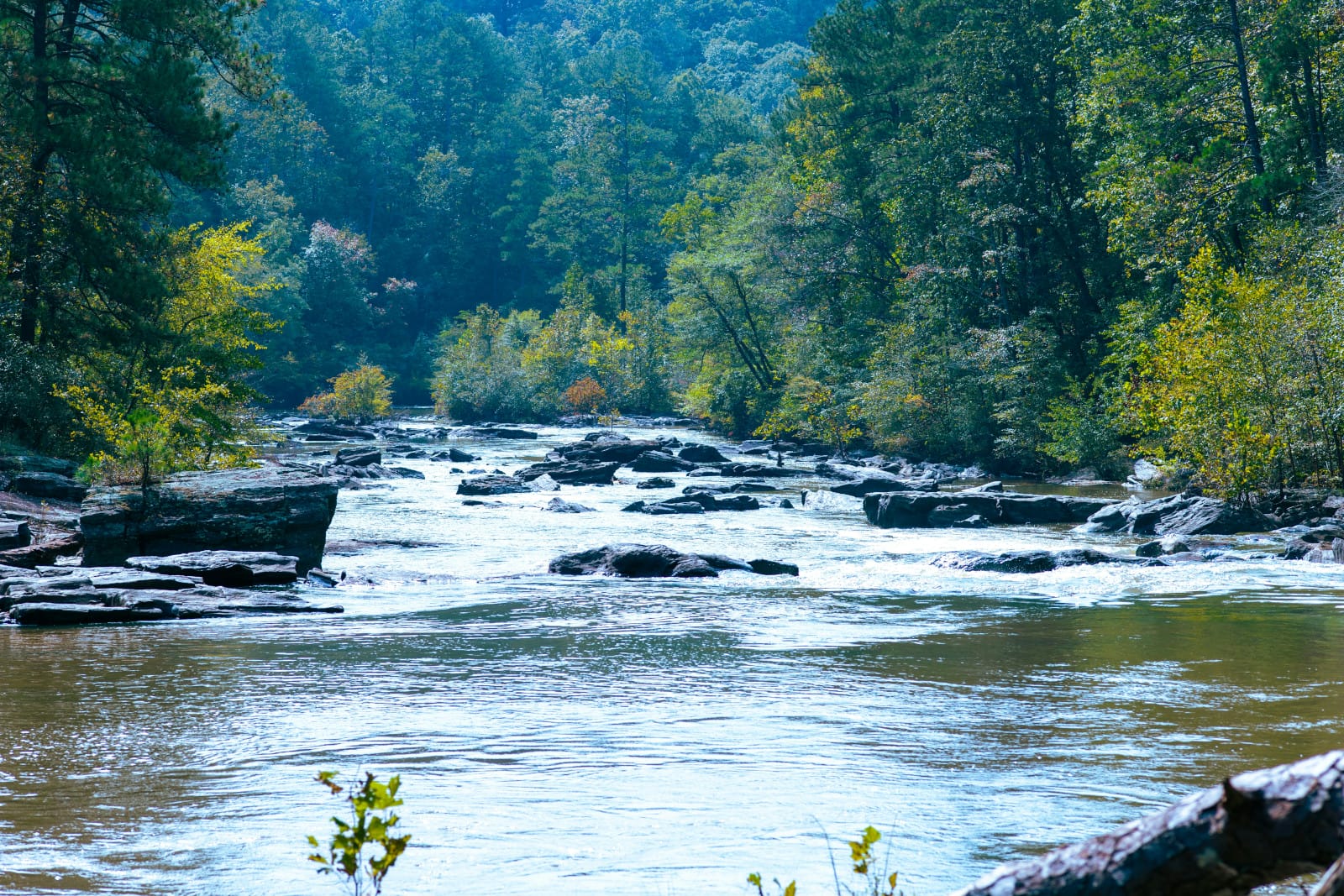 Do Not Overlook Water Scarcity Crisis - BusinessToday