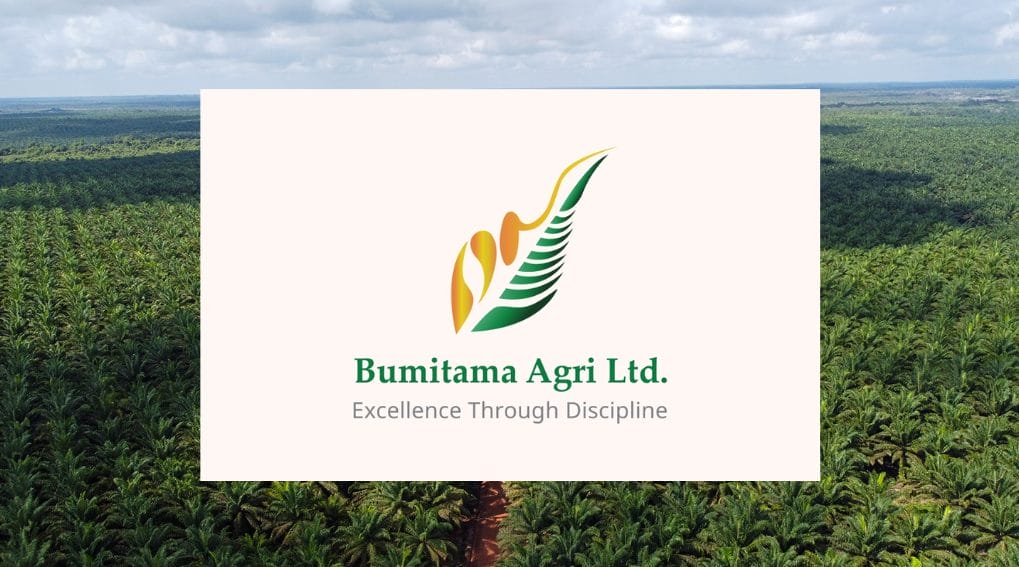 Bumitama Anticipates A Recovery In Production For 4Q - BusinessToday
