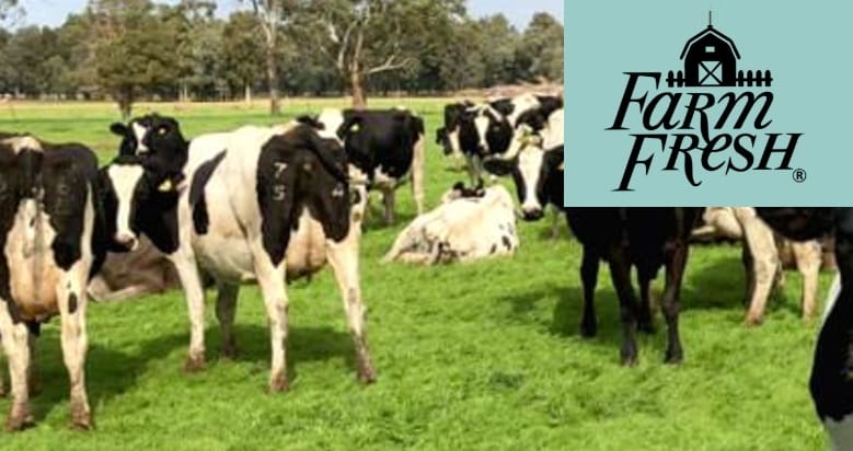 Farm Fresh Churns Out Solid Growth Prospect