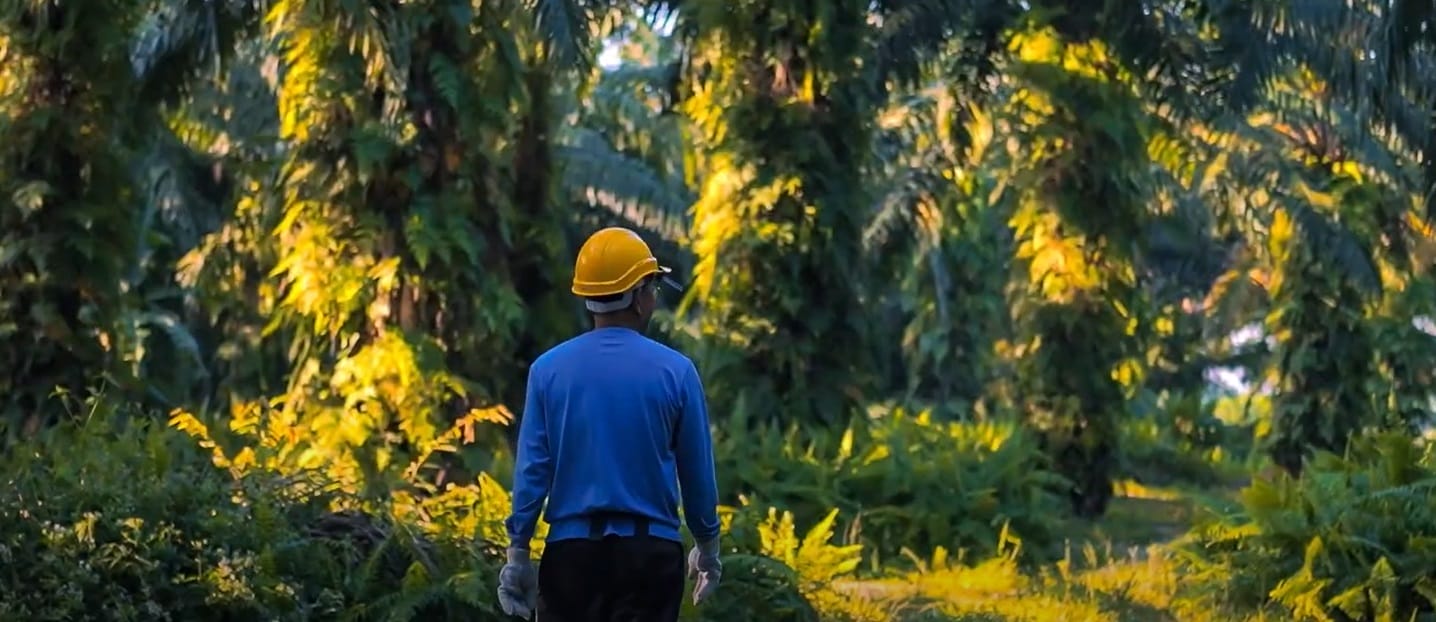 MPOB Introduces AI-Powered Apps For Palm Oil Smallholders - BusinessToday