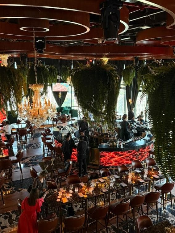 SOL To Welcome Diners On Dec 11 - BusinessToday