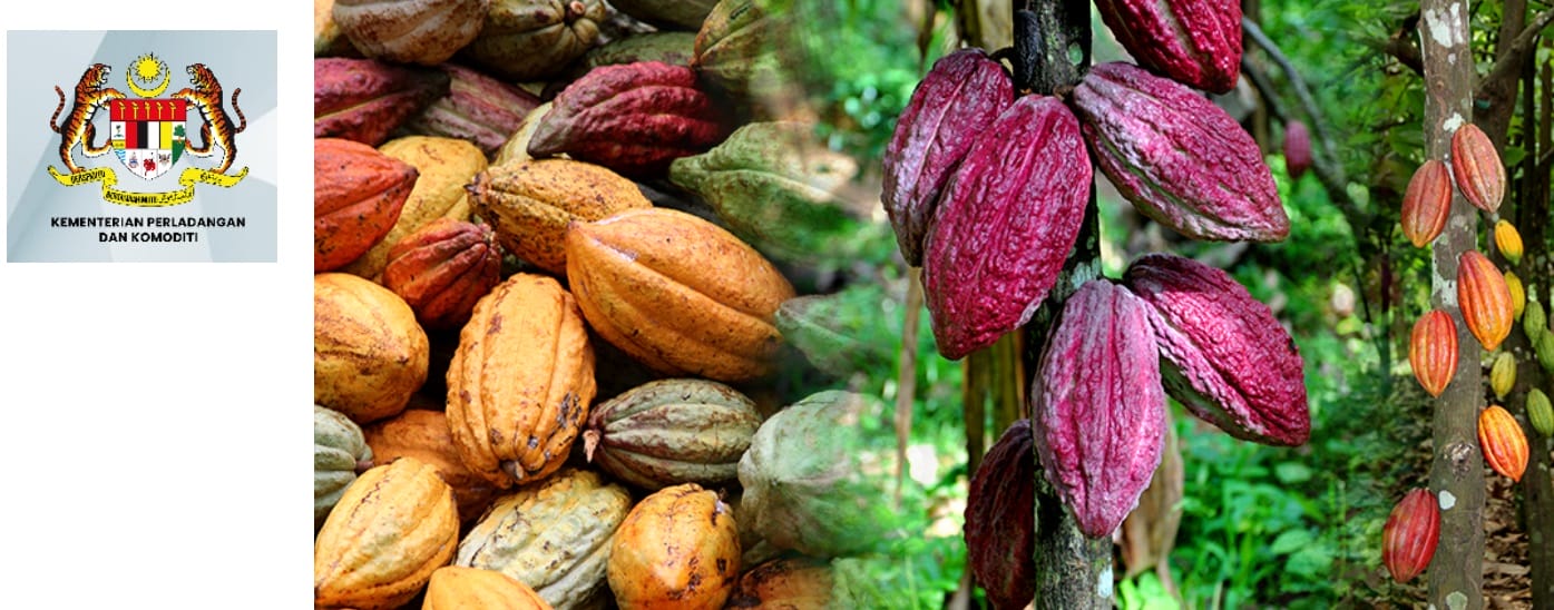 Cocoa 2025 Outlook: Positive On Global Demand & Govt Support - BusinessToday