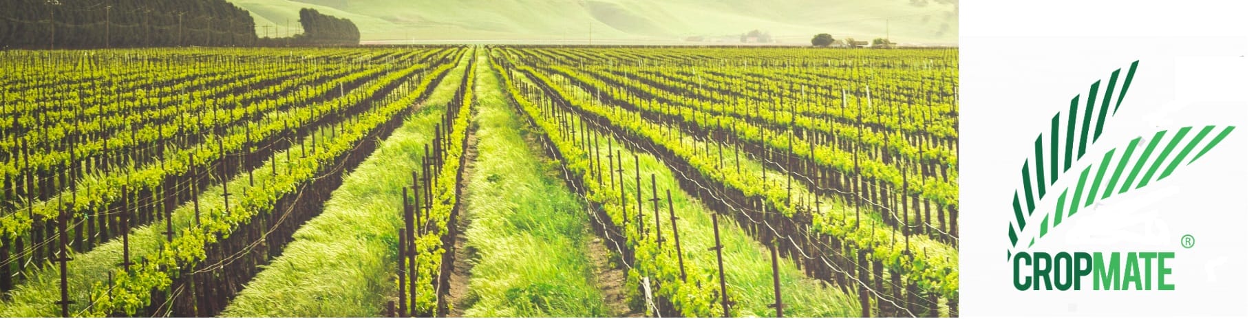 Cropmate Retreats 3.5 Sen to RM0.210, Recording 185 Million In Volume - BusinessToday