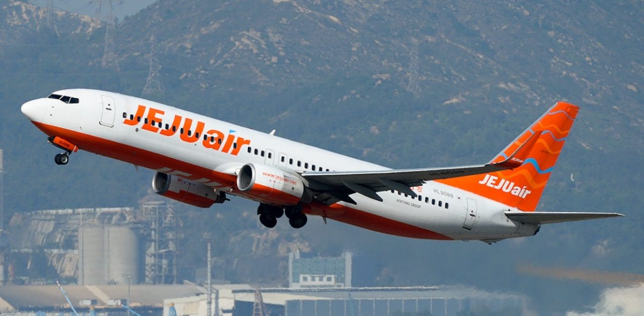 Bird Strike An Unlikely Cause Of Deadly Jeju Air Crash, Says Aviation Experts - BusinessToday