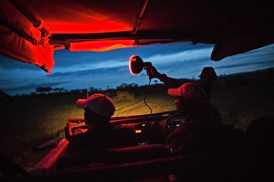10 Ways “Nocturnal Activities” Are Redefining Nighttime Travel In 2025 ...