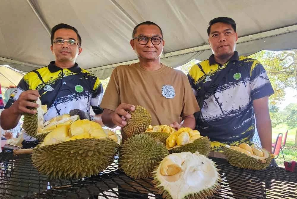 Malaysia To Introduce Three New Durian Varieties