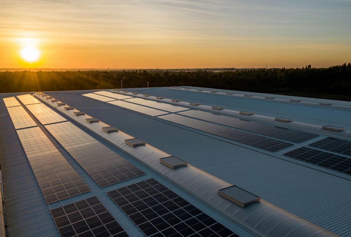 CRESS Is Finally Powering Our Green Ambitions - BusinessToday