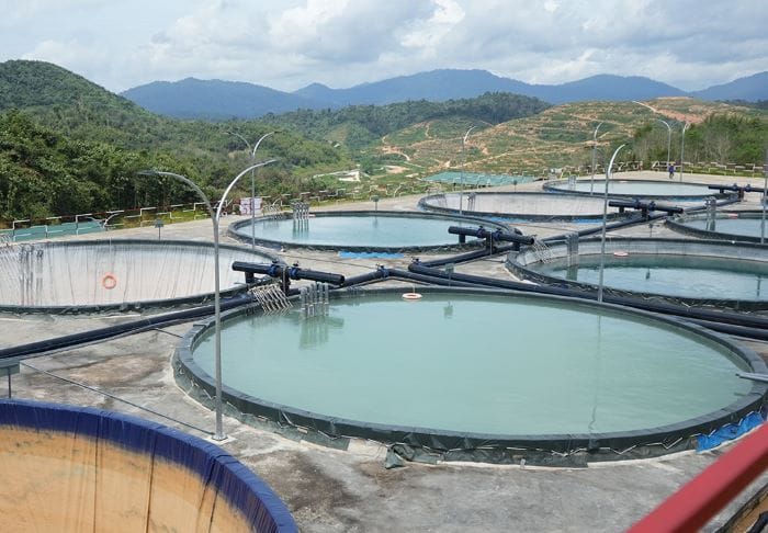 Asia Dominates In Global Rare Earths Market, Malaysia Marks Milestone