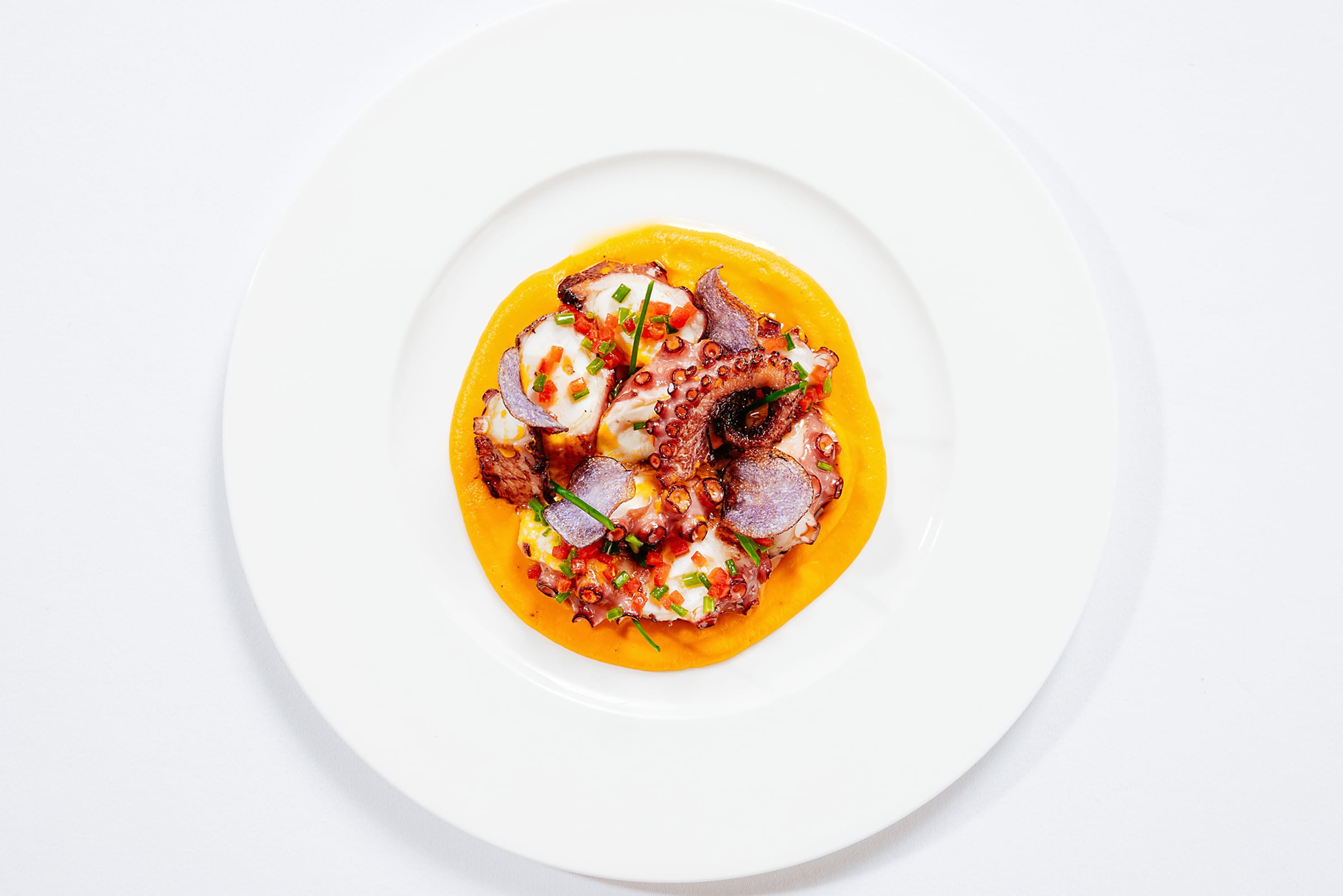 Polpo Al Josper – BusinessToday
