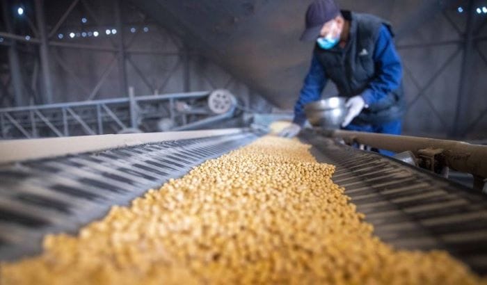 Global Agribusiness Outlook 2026: Grain Prices To Rise Amid Strong Supply